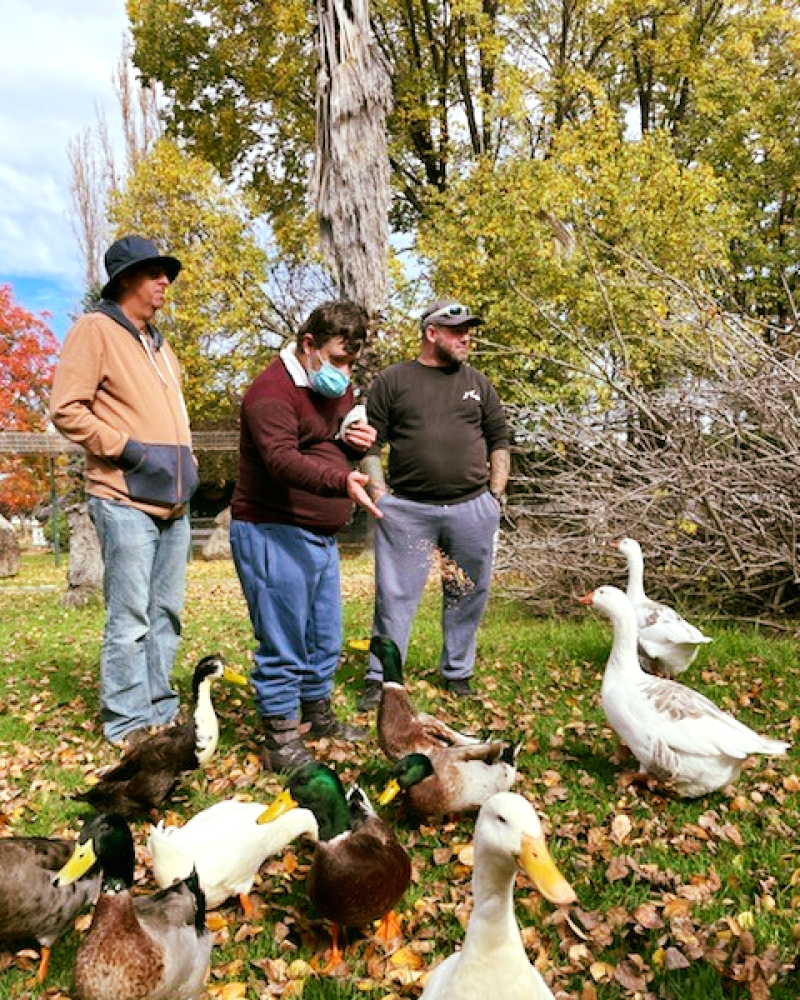 Visit to Green Valley Farm