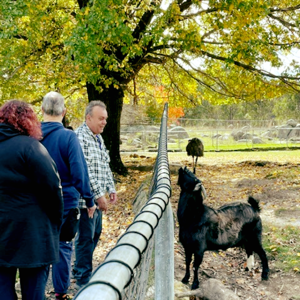 Visit to Green Valley Farm