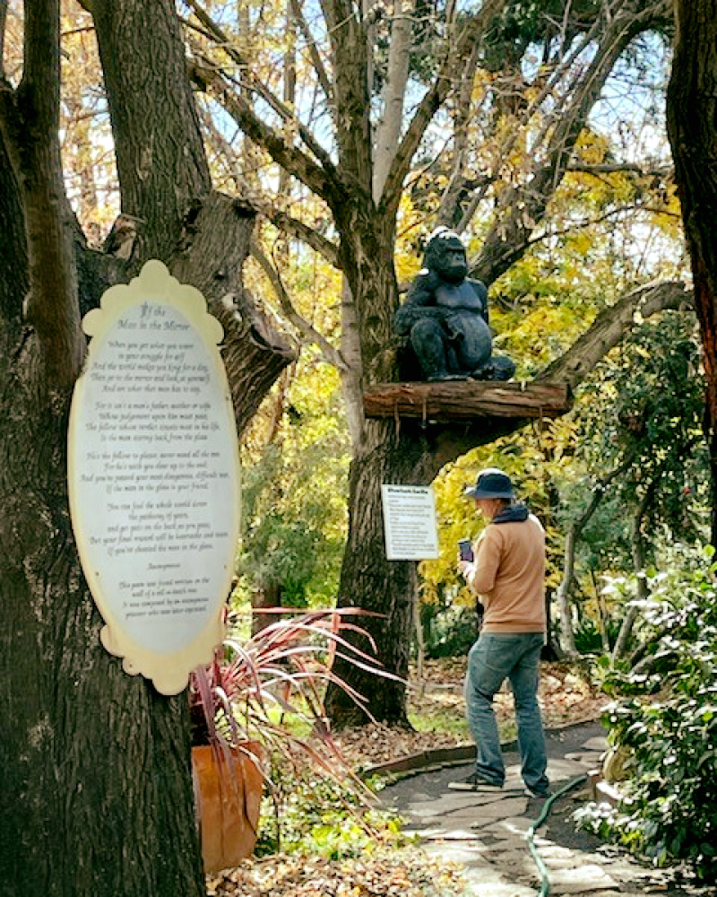 Visit to Green Valley Farm